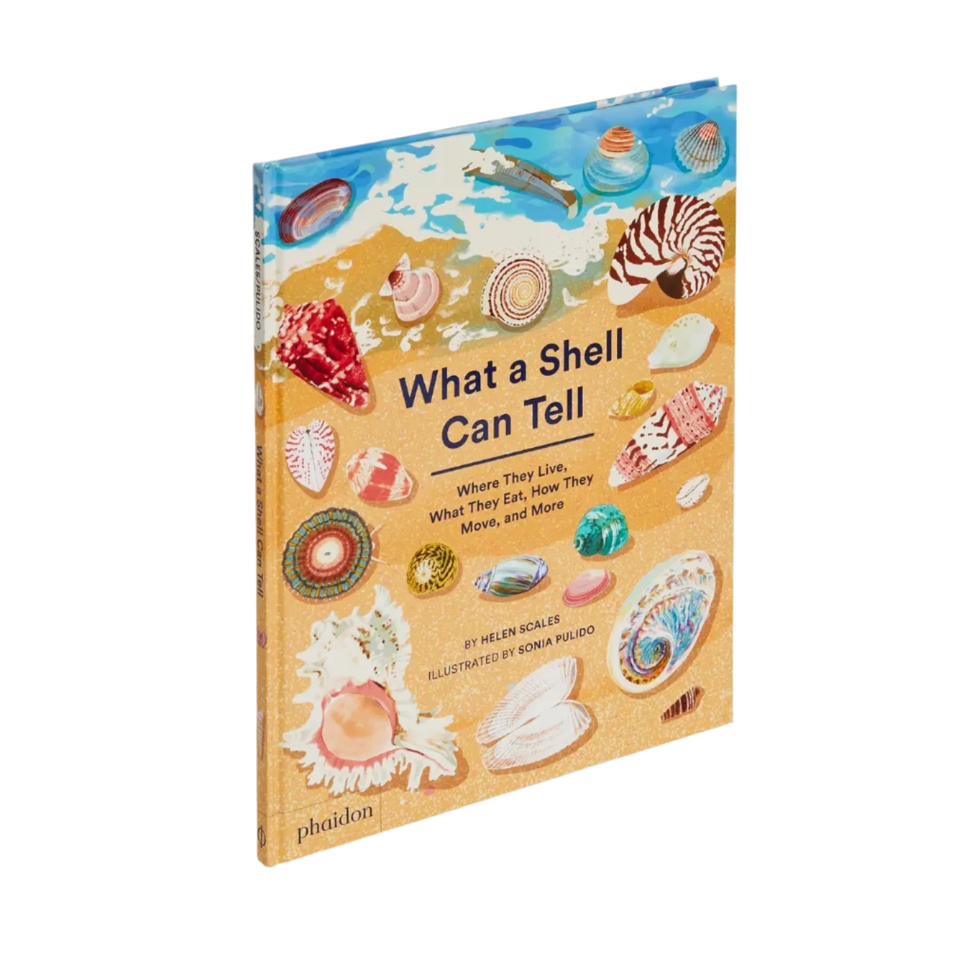 What A Shell Can Tell – ArtHouse & Co.